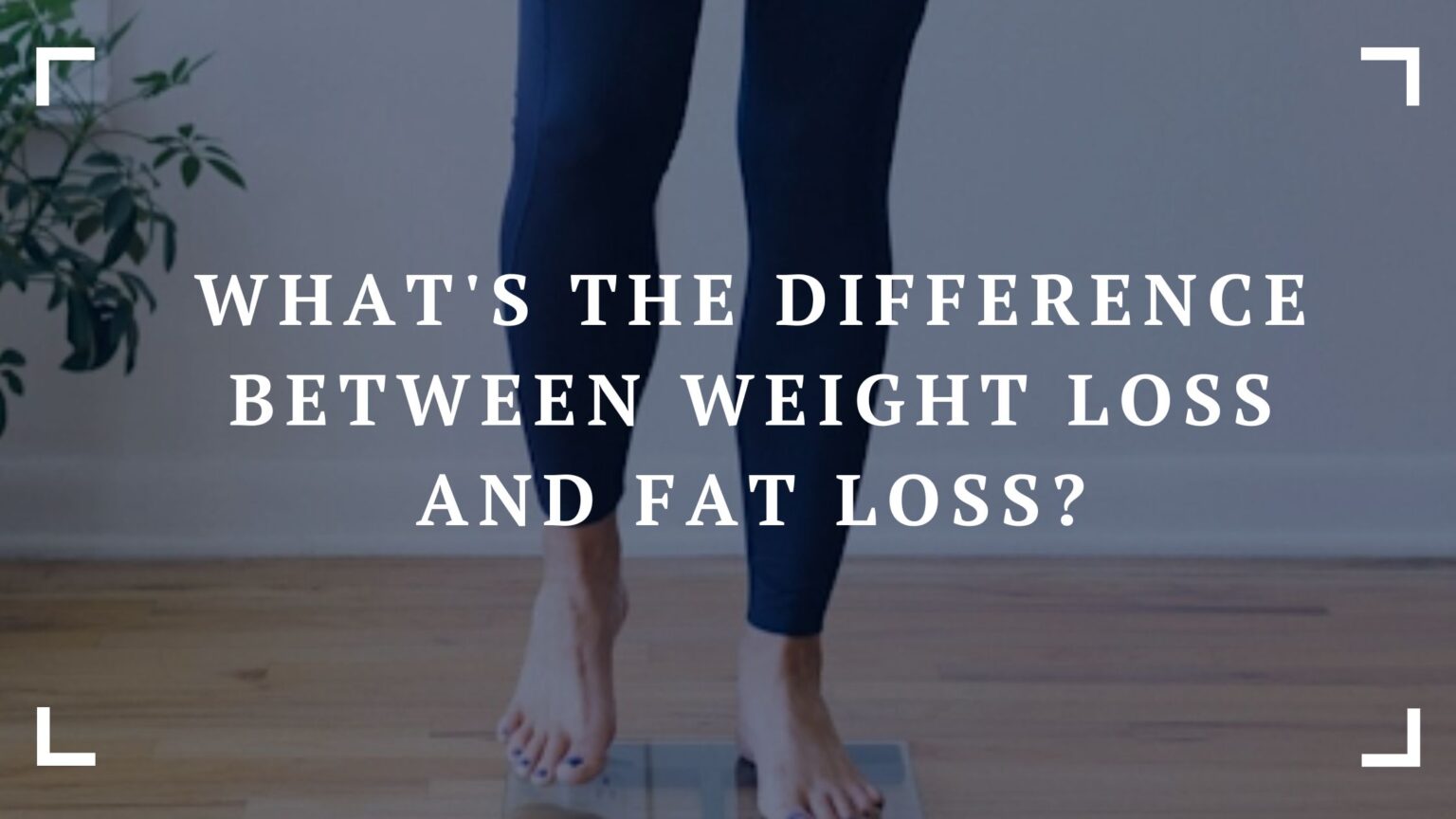 What's the Difference Between Weight Loss and Fat Loss? - Nutri Inspector
