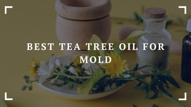 Best Tea Tree Oil for Mold: Top Picks & Buyer's Guide - Nutri Inspector